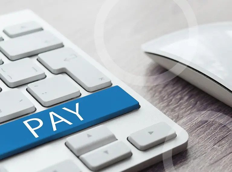 Simplify B2B Transactions with Invoice Payment Portal | Cloudfy