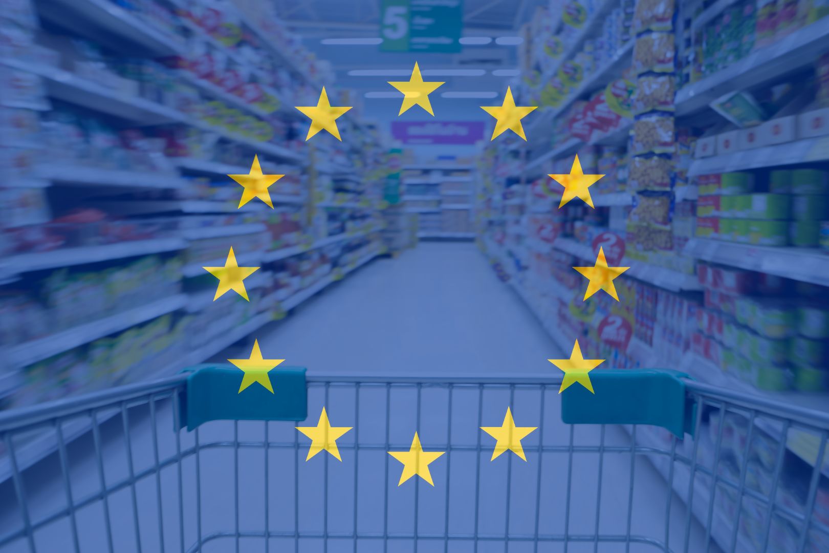 EN 16931 Compliance: A Guide for B2B FMCG Companies